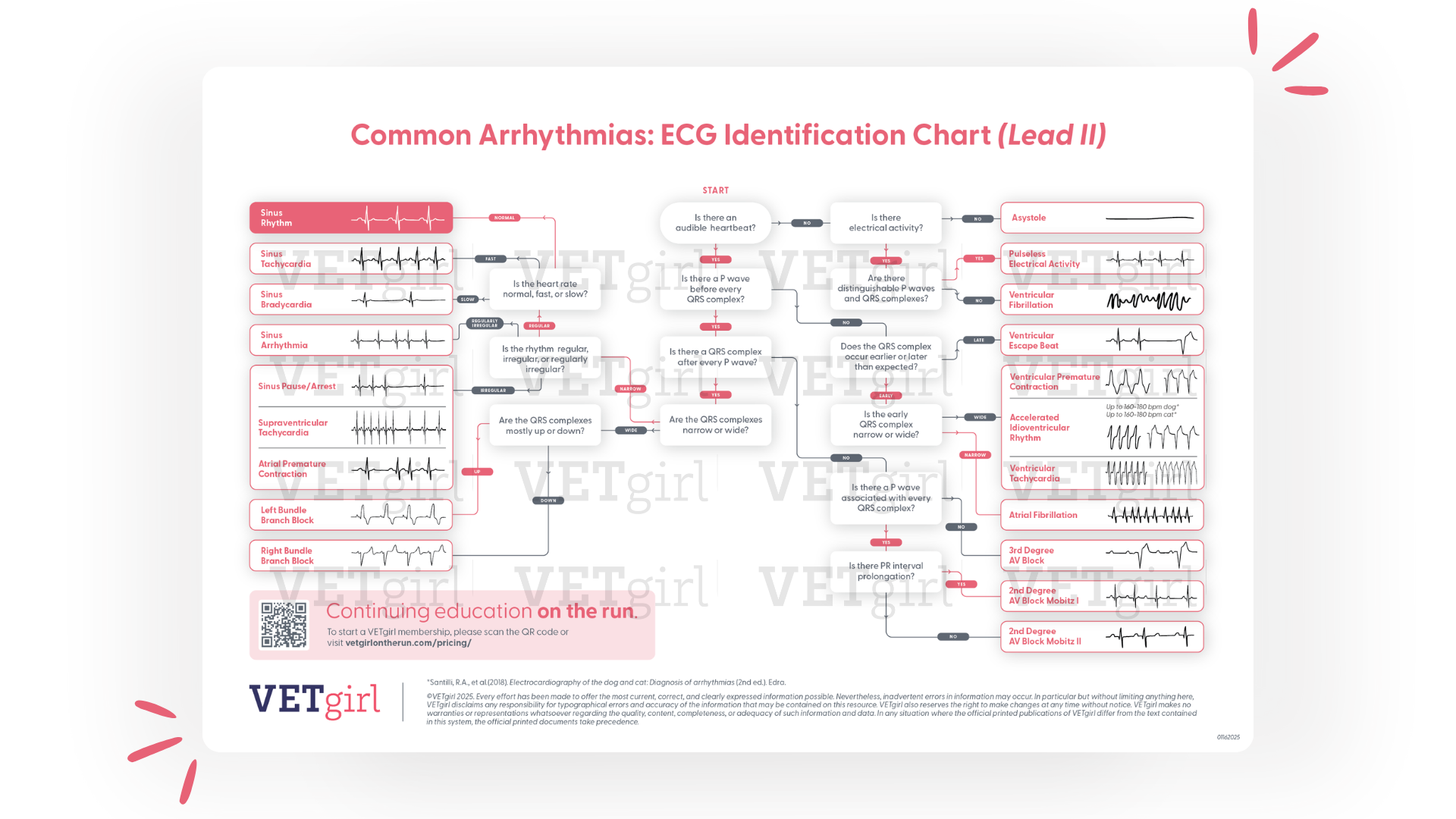 ECG Identification Chart