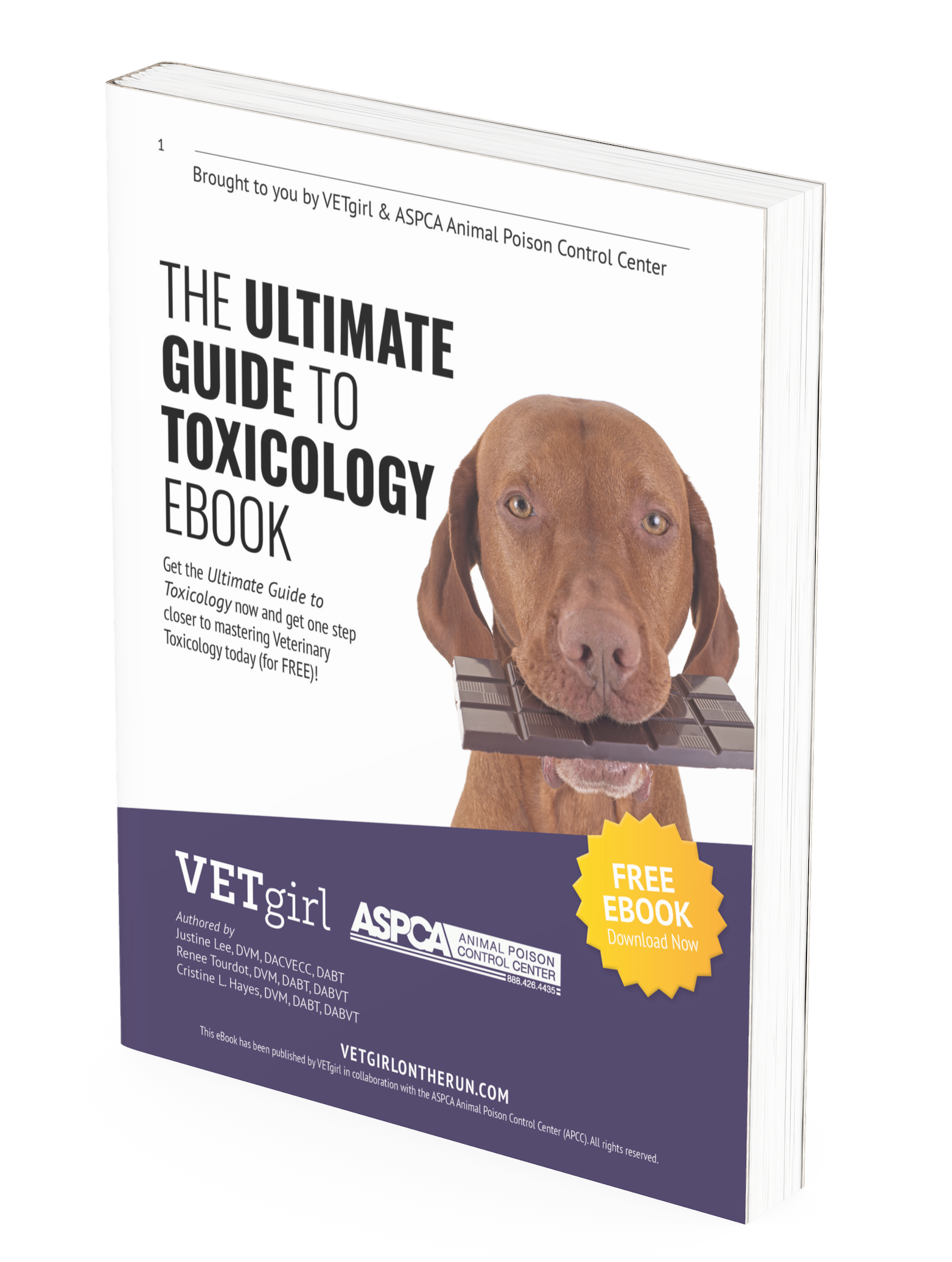 The VETgirl Ultimate Guide to Toxicology eBook